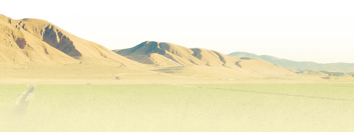 Premium Table Grapes Grown in Sunny California - Sunview