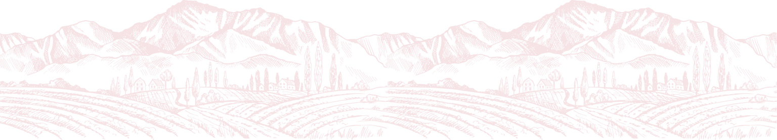 Golden Seedless Grapes | Sunview Marketing Carnival Grapes